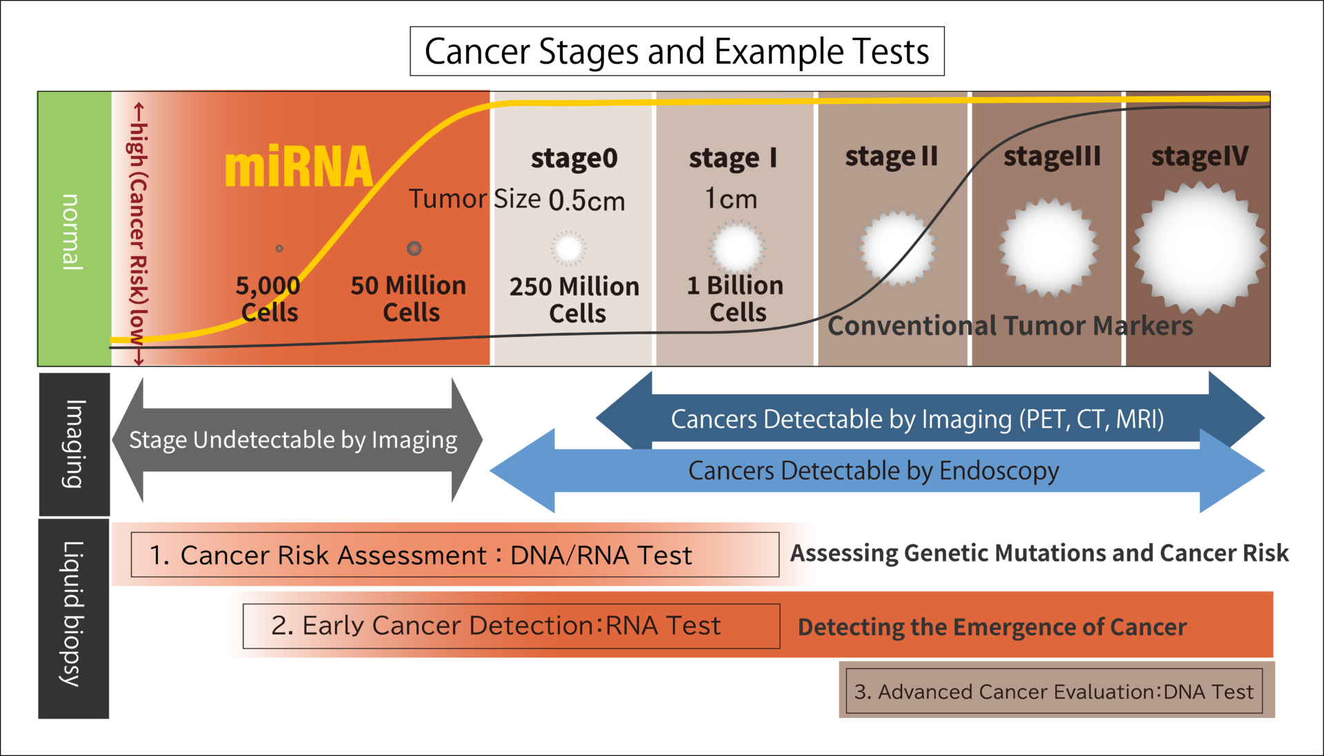 【For Engrish】DNA/RNA Test - 北青山Dクリニック